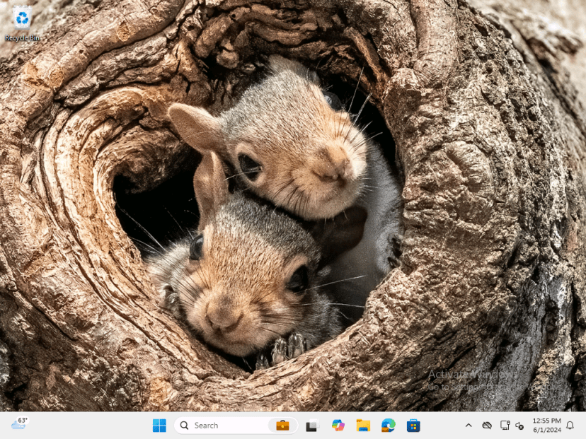Getting rid of the “Learn about this picture” icon on the Windows 11 ...